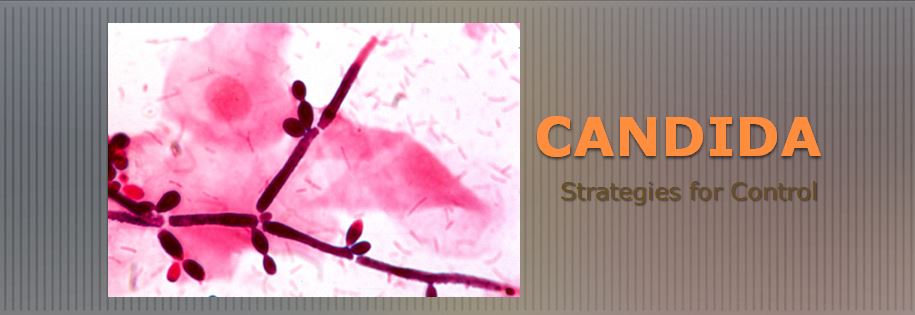 Candida.1 – Pulsed Technologies Research